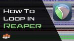 How To Loop In REAPER (Step-by-Step Guide) - Pro Mix Academy